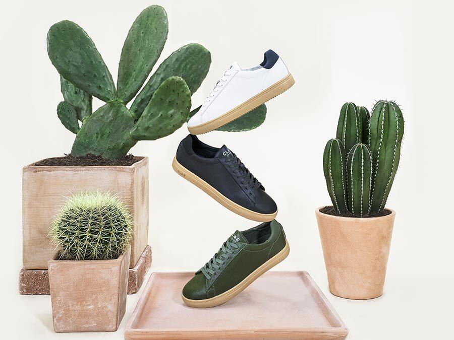 Are Vegan Cactus Leather Shoes a Sustainable Option to Choose? – ARTIGIANO
